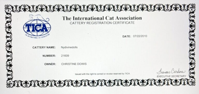 Tica cattery certificate | NY Divine Ragdolls